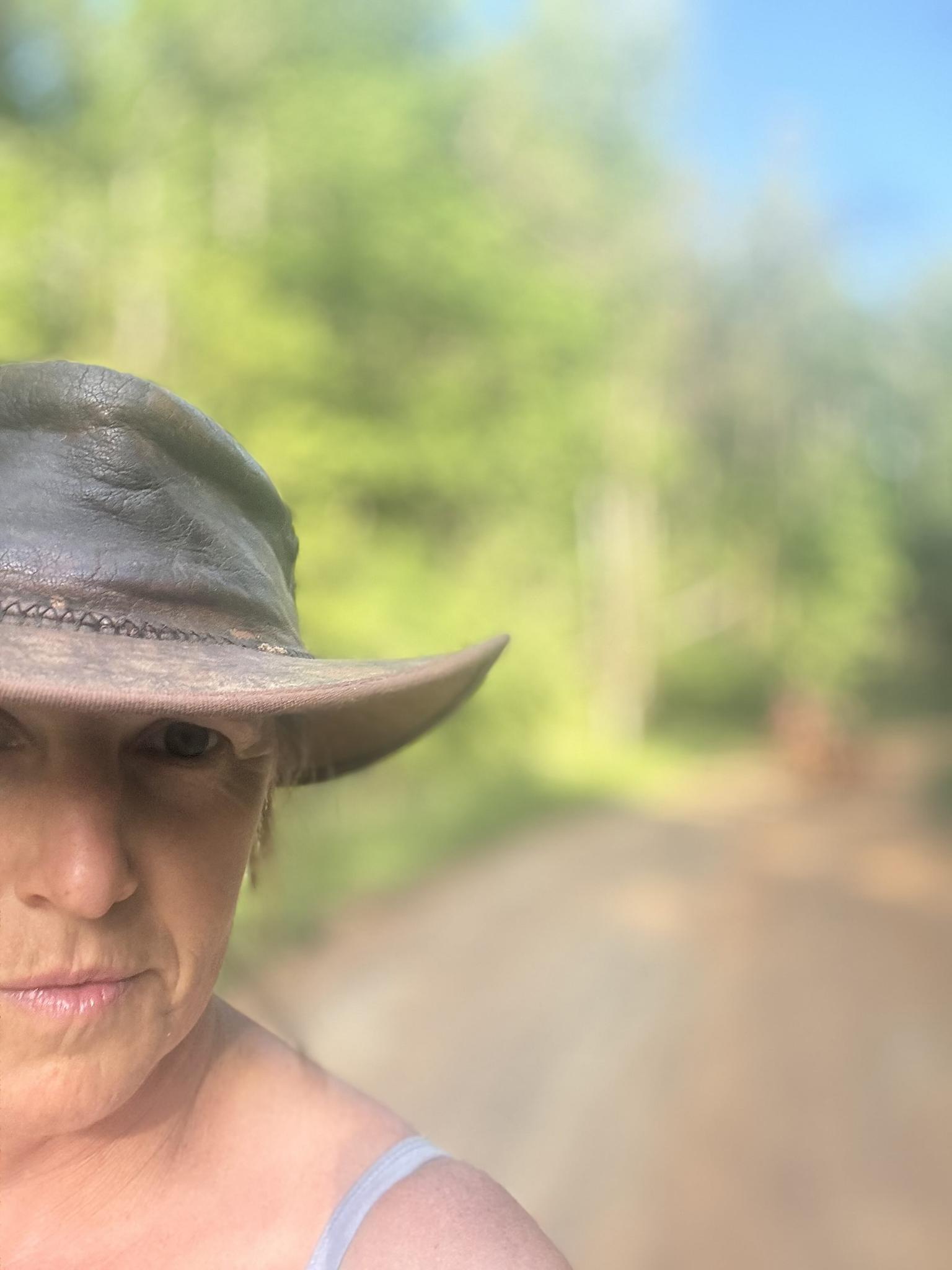 Livestock Farming: choices, destocking and a BIG sale